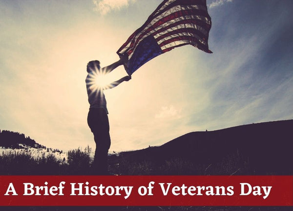 A Brief History of Veterans Day - The Outback Series