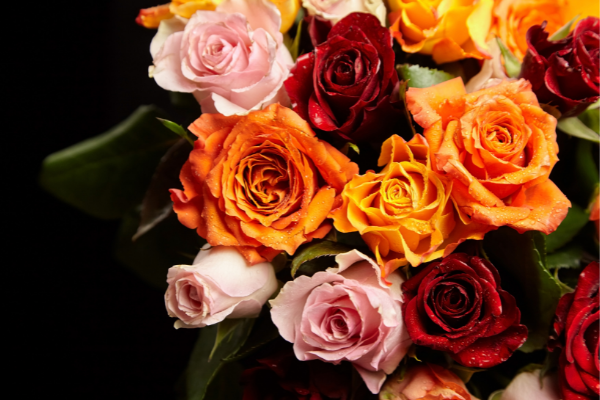 Celebrate Love With These Roses - The Outback Series