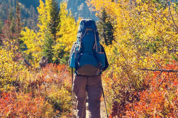 Embrace Fall Hikes: 6 Tips for Comfortable Adventures - The Outback Series